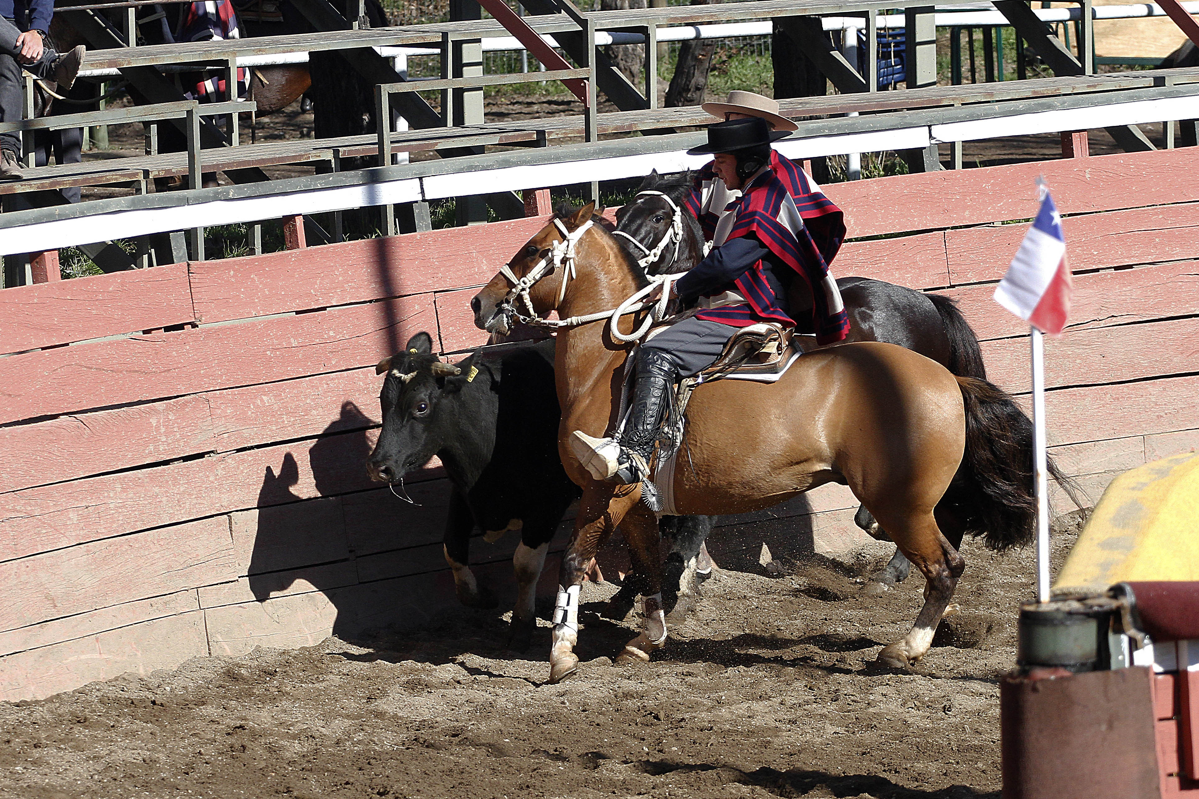 El rodeo "está más vivo que nunca en las zonas rurales" — Radio ...