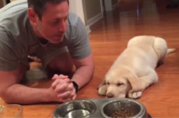 El tierno video de un perrito rezando antes de comer