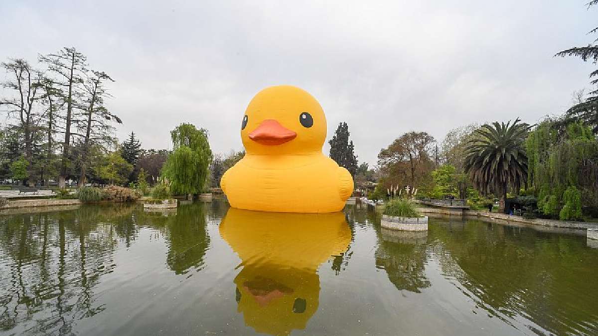 Pato de hule: ¿Dónde y hasta cuándo se puede ver la obra? — Radio ...