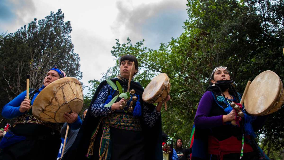 La historia del despojo, el libro que relata el conflicto del ...