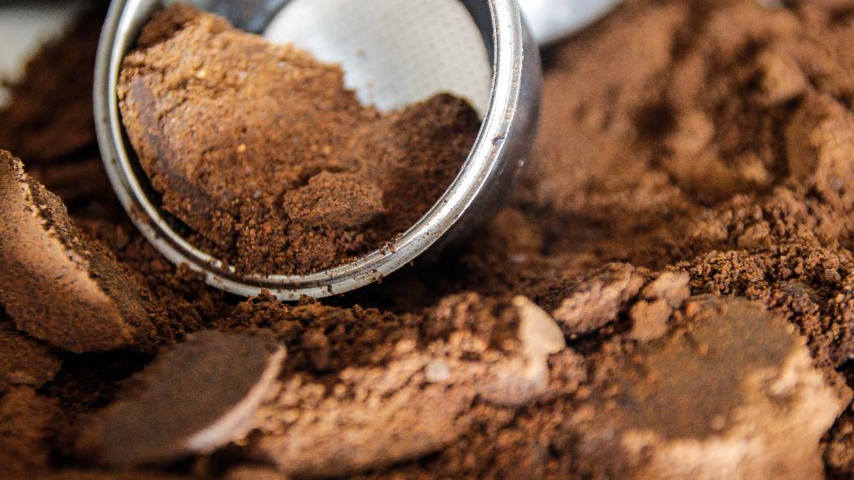 ¿Qué hacer con los restos de café? — Radio Concierto Chile