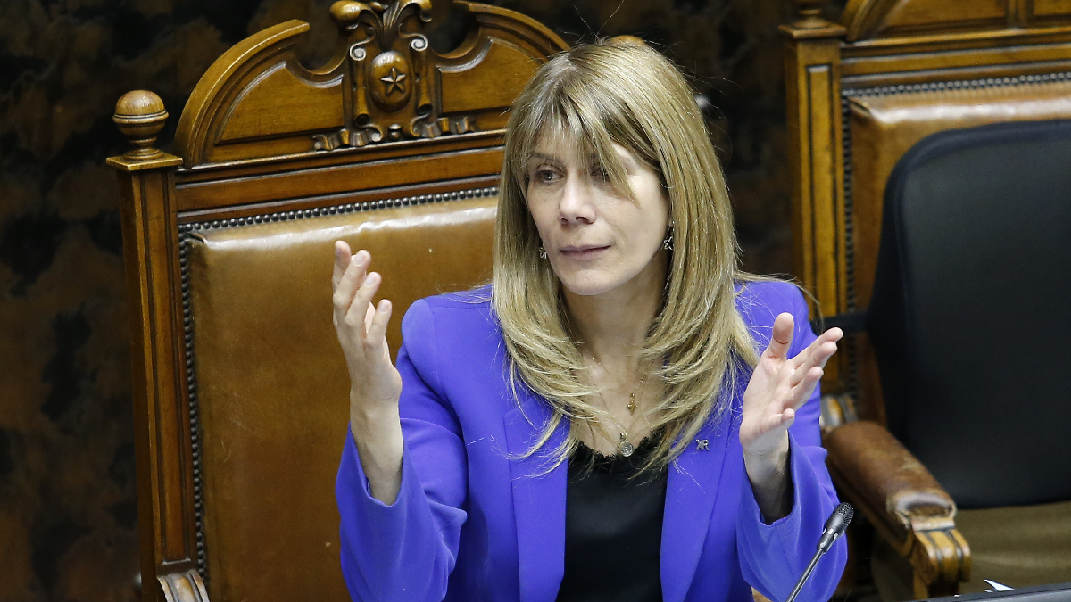 "Aquí lo que hay es una transgresión a la exigencia de la ley": Ximena ...