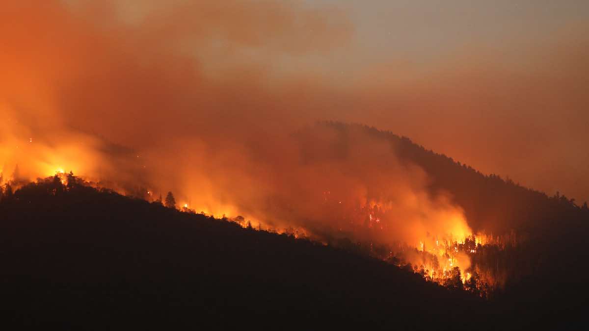 Incendios Forestales en el sur: Revisa aquí el estado de las rutas ...