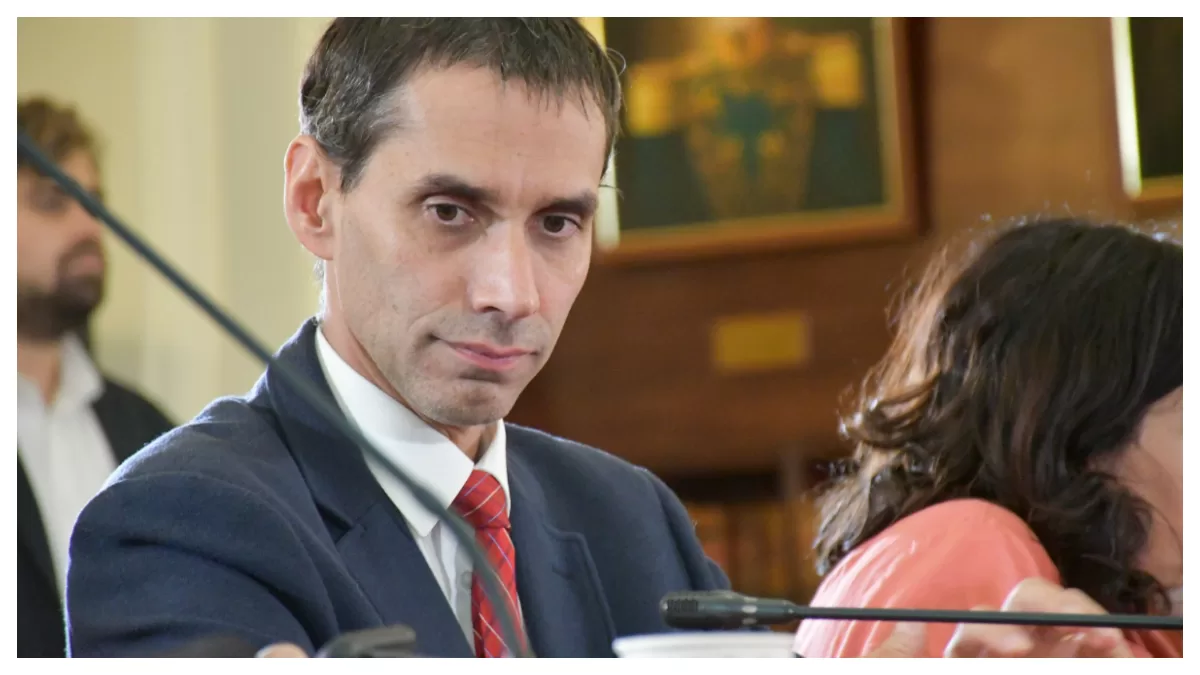 Sebastián Soto, vicepresidente de la Comisión Experta sobre el ...