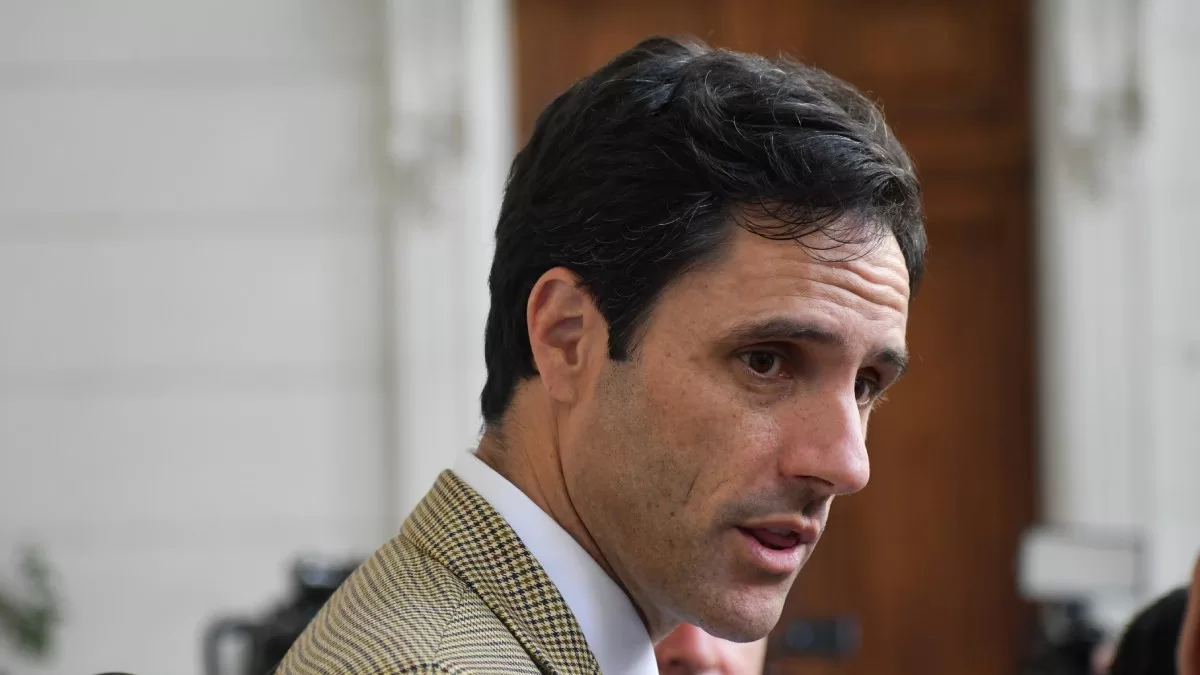 Luis Silva comentó el rol del Gobierno en el próximo plebiscito ...