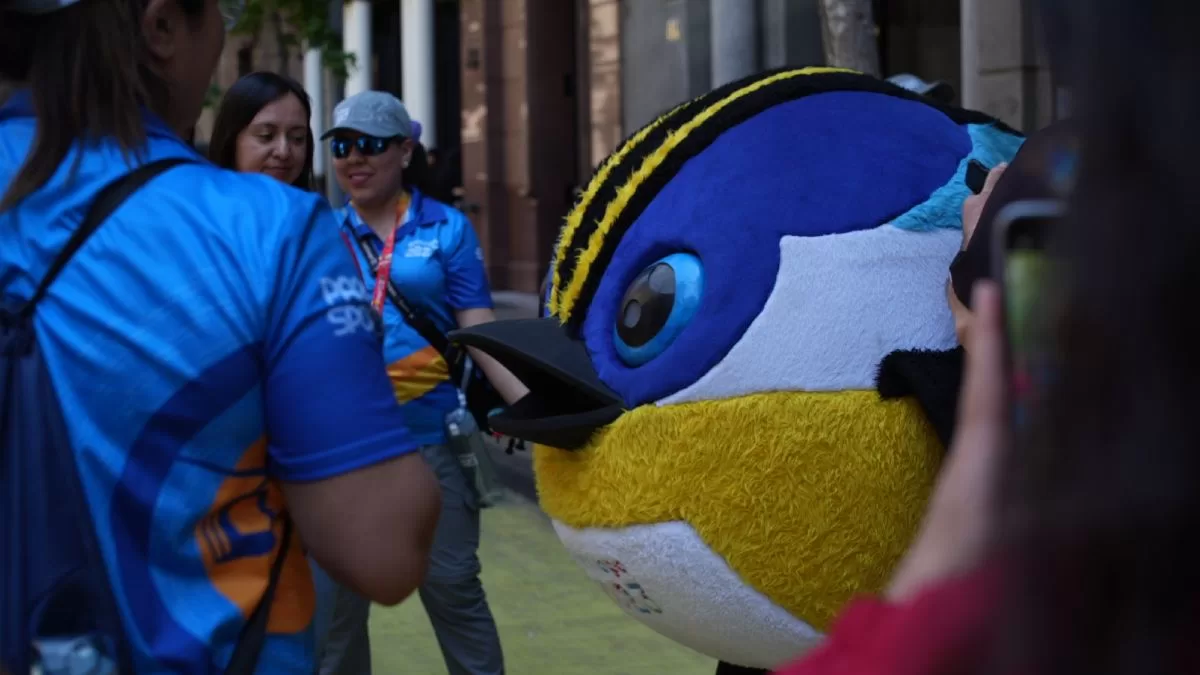 La última aparición de Fiu en las calles de Santiago ya tiene fecha y ...