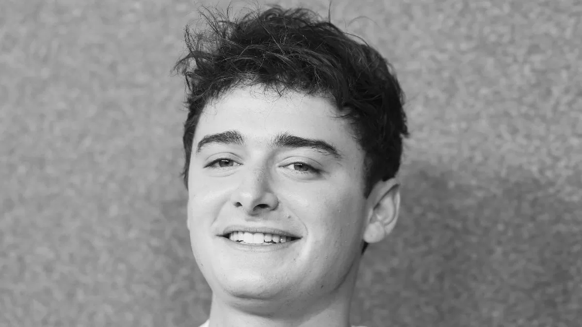 Este es el motivo por el que quieren a Noah Schnapp fuera de la última ...