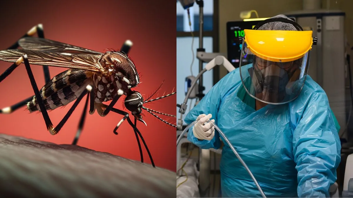 Se extiende la alerta sanitaria preventiva por infección del mosquito ...