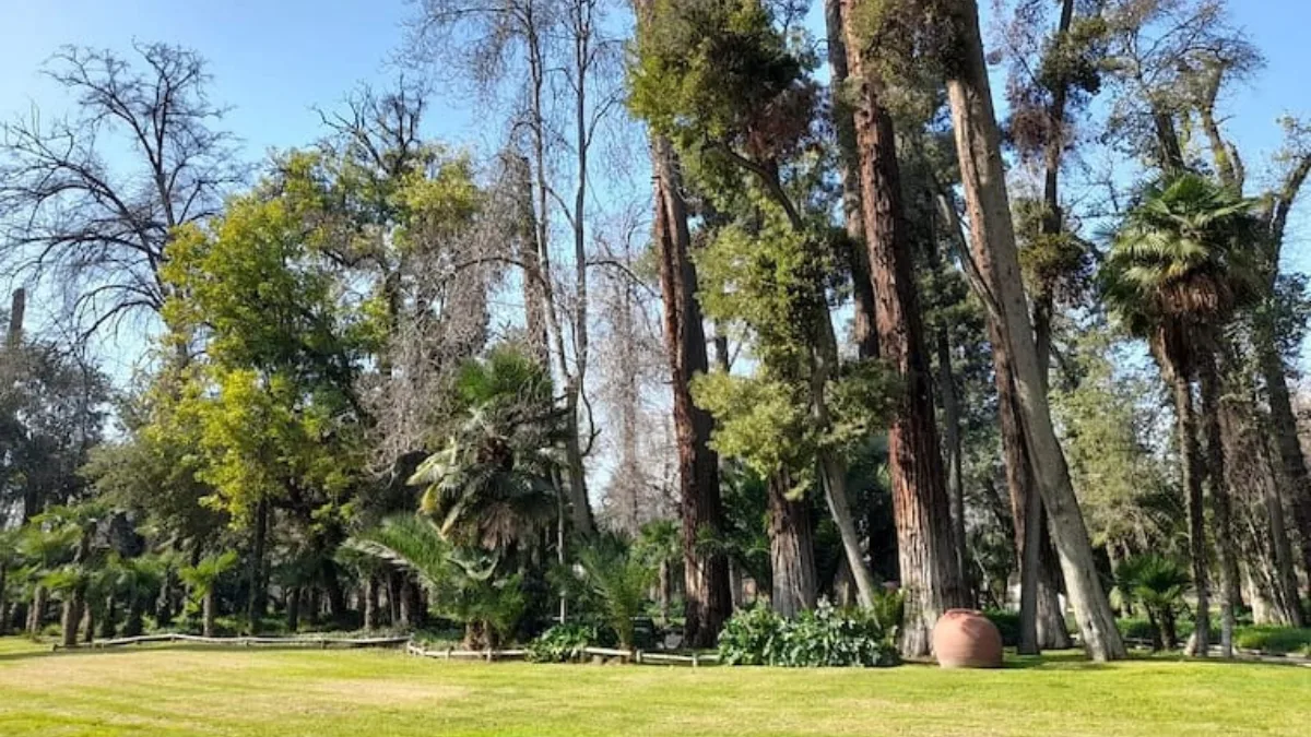 El parque gratuito de Santiago que pocos conocen y combina historia ...