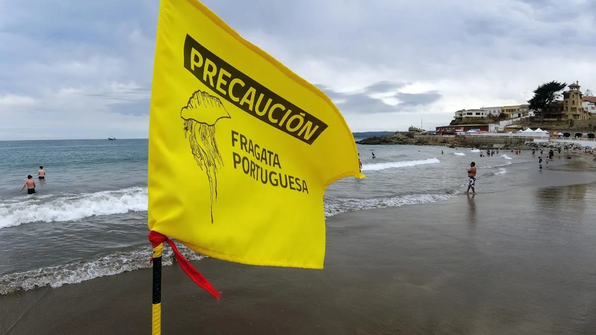 Fragata portuguesa en Chile 2026: estas son las playas prohibidas por ...